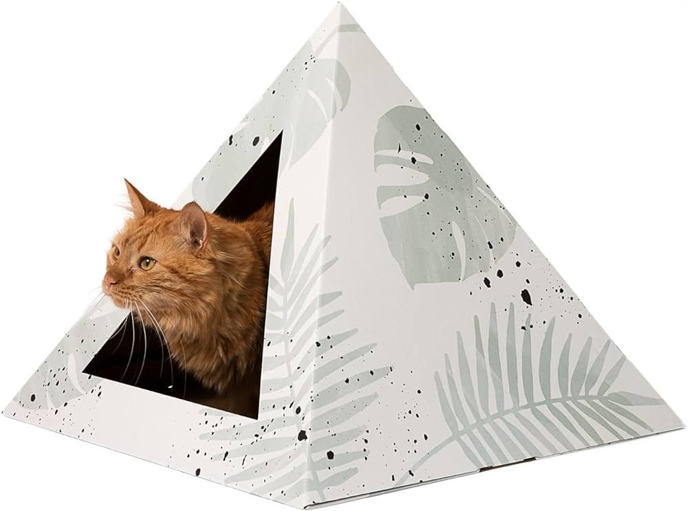 Cat Become a Vegetarian – Pyramid Effect - 5dpyramids.com